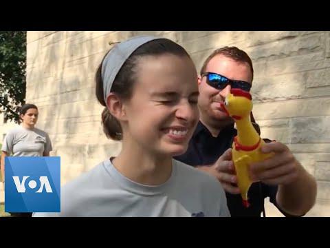 The Chicken Test. Hilarious Reactions of New Police Recruits